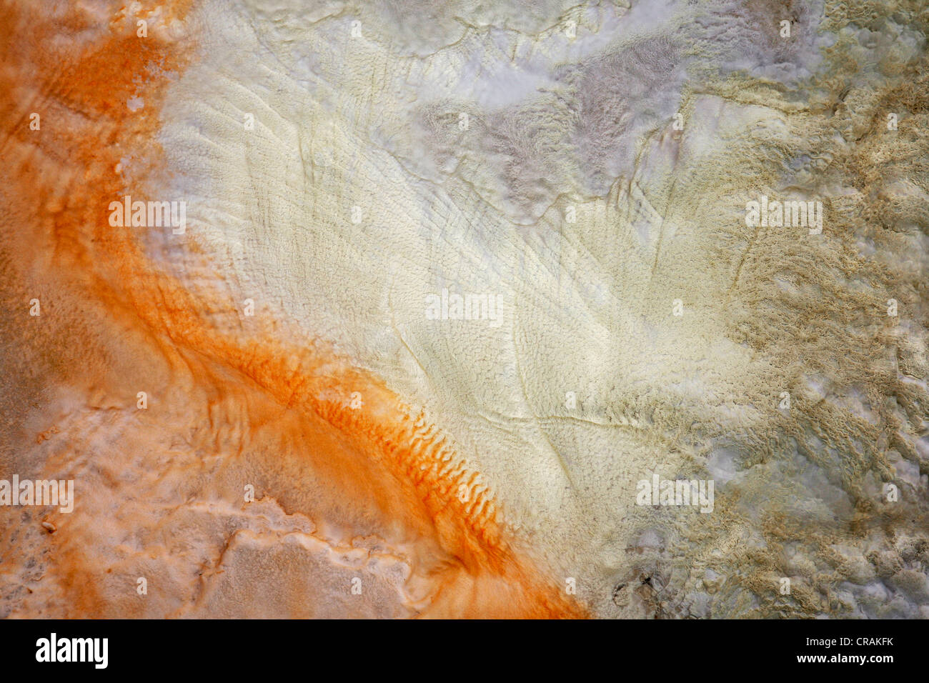 Detail, sinter terraces with structures formed by coloured minerals ...
