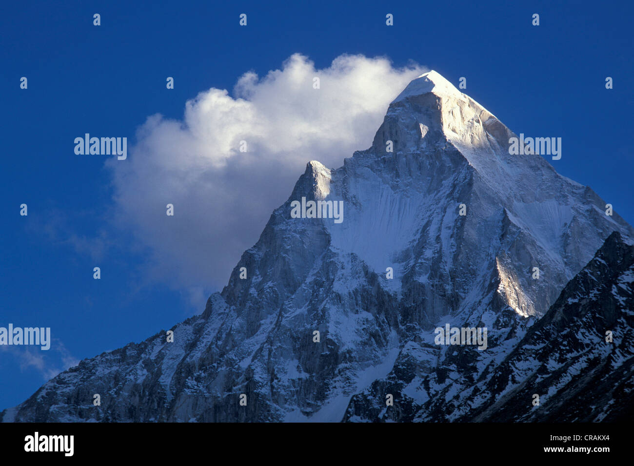 Mount Shivling, 6543 m, highest natural Shiva-Lingam, above Gaumukh ...