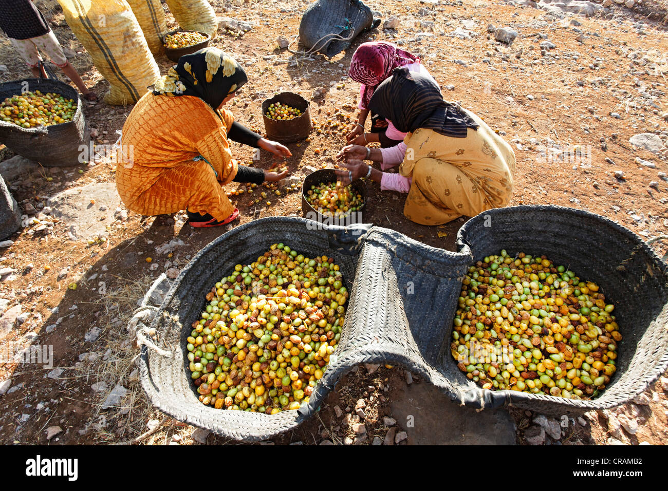 Moroccan farming family hi-res stock photography and images - Alamy