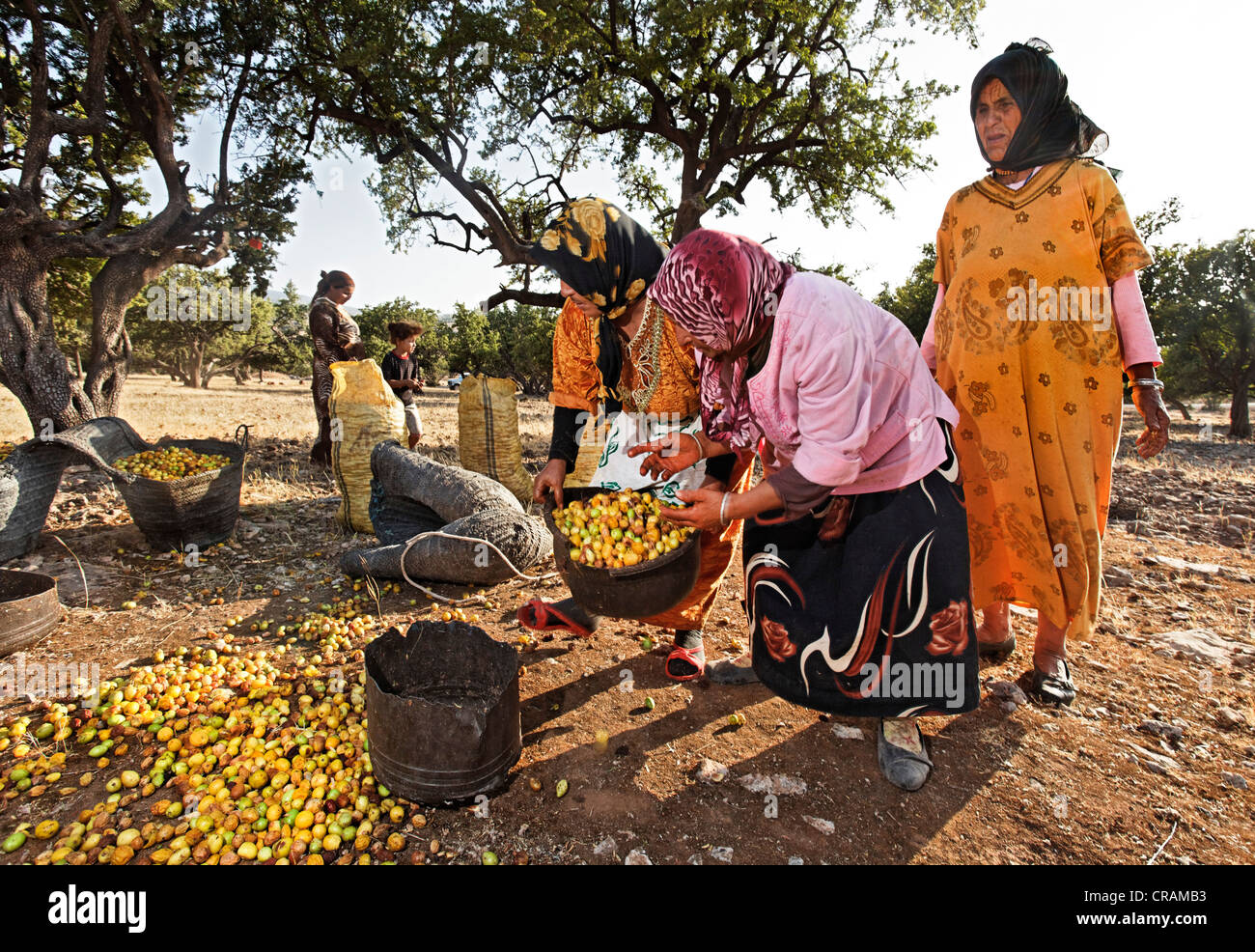 Moroccan farming family hi-res stock photography and images - Alamy