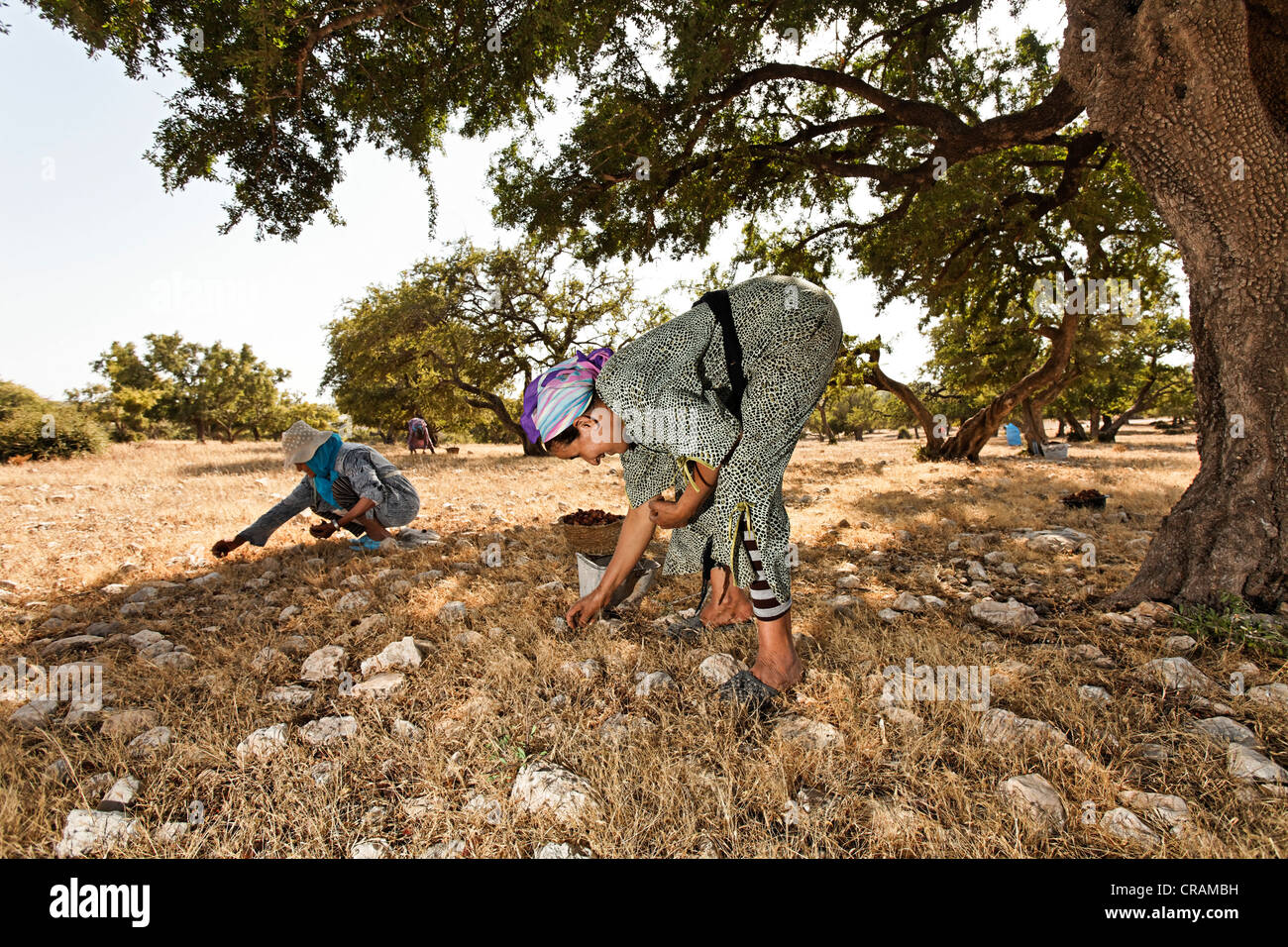 Women farming morocco hi-res stock photography and images - Alamy