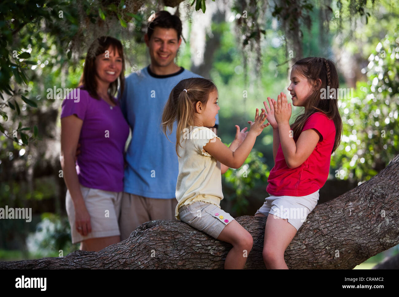 A family plays in a tree at a local park Stock Photo - Alamy