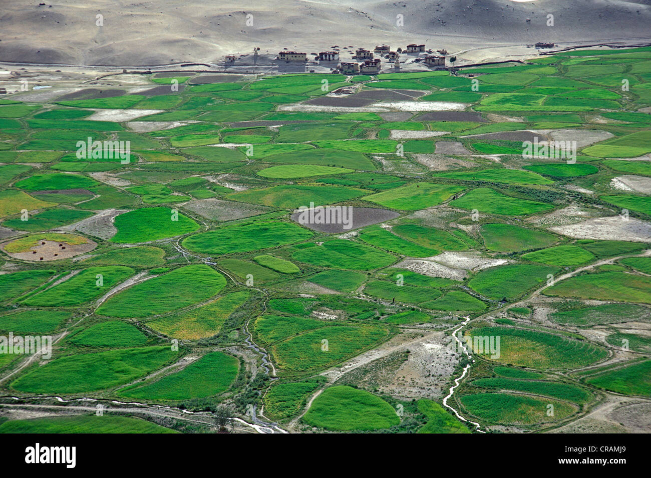 India Irrigation Canal High Resolution Stock Photography and Images - Alamy