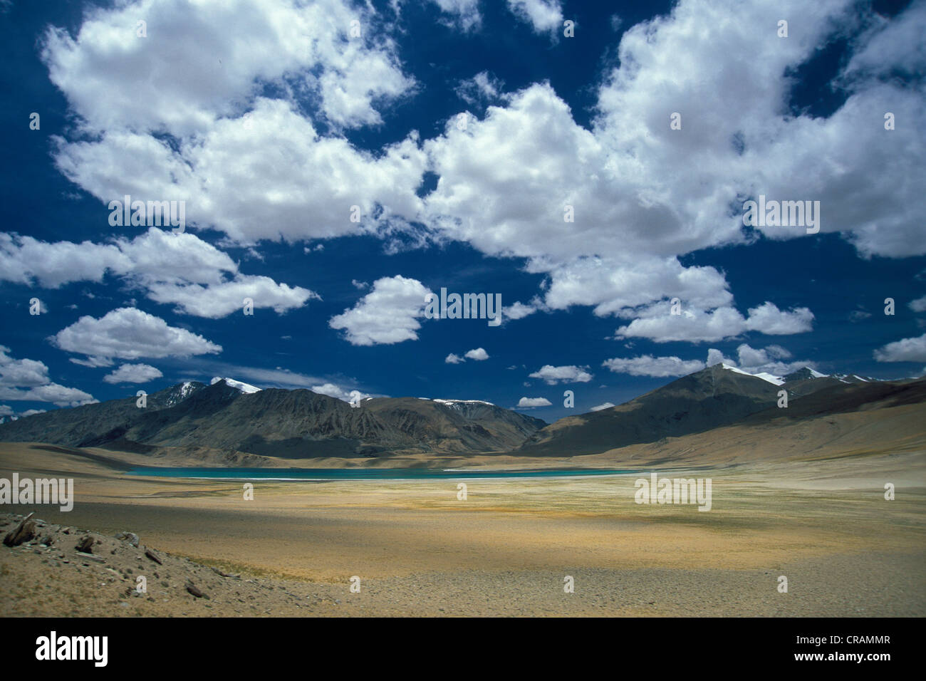 High plain, near the Tso Khar salt lake, Changthang, Ladakh, Indian ...