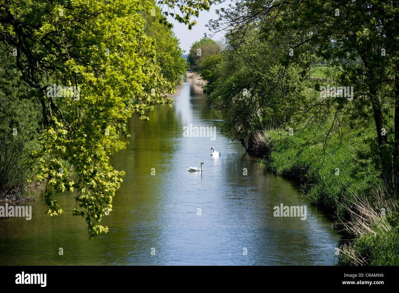 River leven hi-res stock photography and images - Alamy