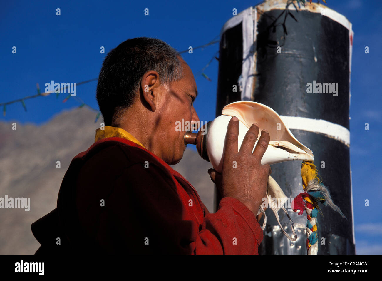 Conch shell india hi-res stock photography and images - Alamy