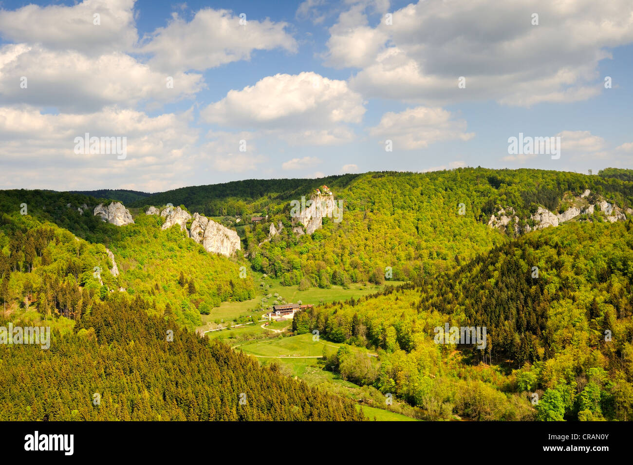 Upper Danube Valley with spring vegetation, Tuttlingen district, Baden ...