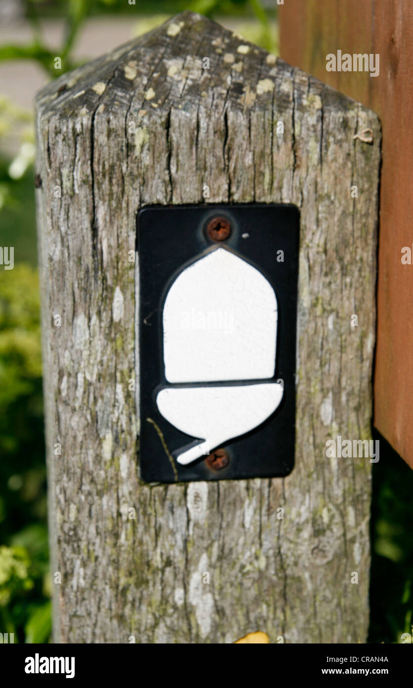Acorn national trail hi-res stock photography and images - Alamy