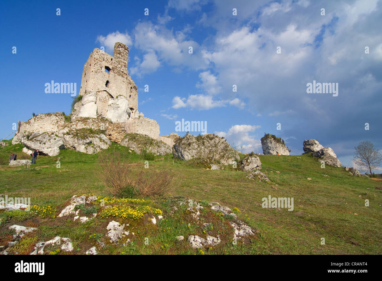 Ruins of Castle Mirow Poland Stock Photo - Alamy
