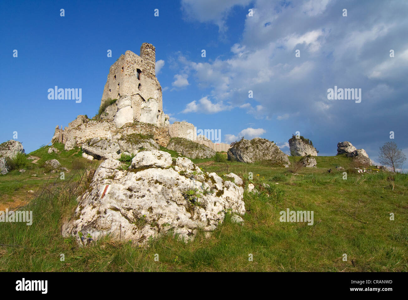 Ruins of Castle Mirow Poland Stock Photo - Alamy