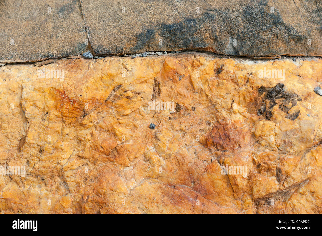 Ochre-coloured rock and snow at the Mittivakkat Glacier, Ammassalik ...