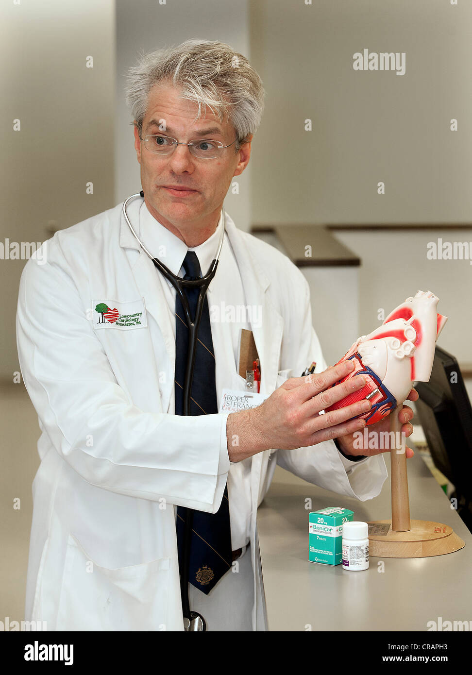 A doctor shows how the heart works Stock Photo - Alamy