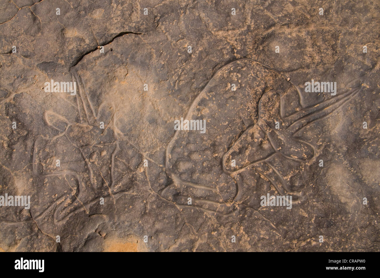 Petroglyph africa hi-res stock photography and images - Alamy