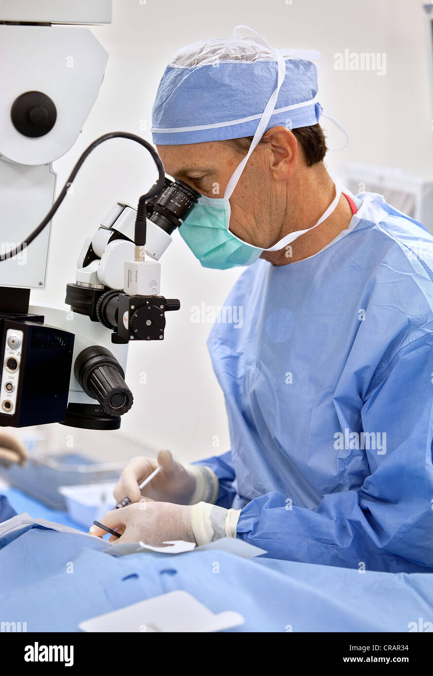 Doctor looks through microscope during surgery Stock Photo - Alamy