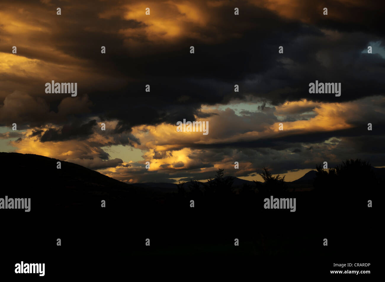 Nature drama hi-res stock photography and images - Alamy