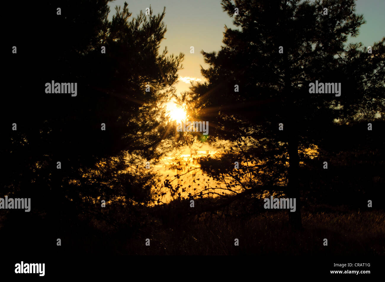 Beams sunbeams hi-res stock photography and images - Alamy