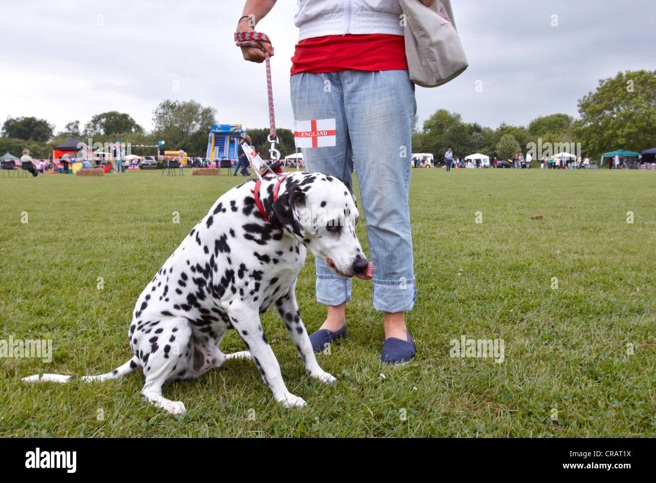 Spike, a Dalmatian, together with owner Rowena Wilkinson,at the Weston ...