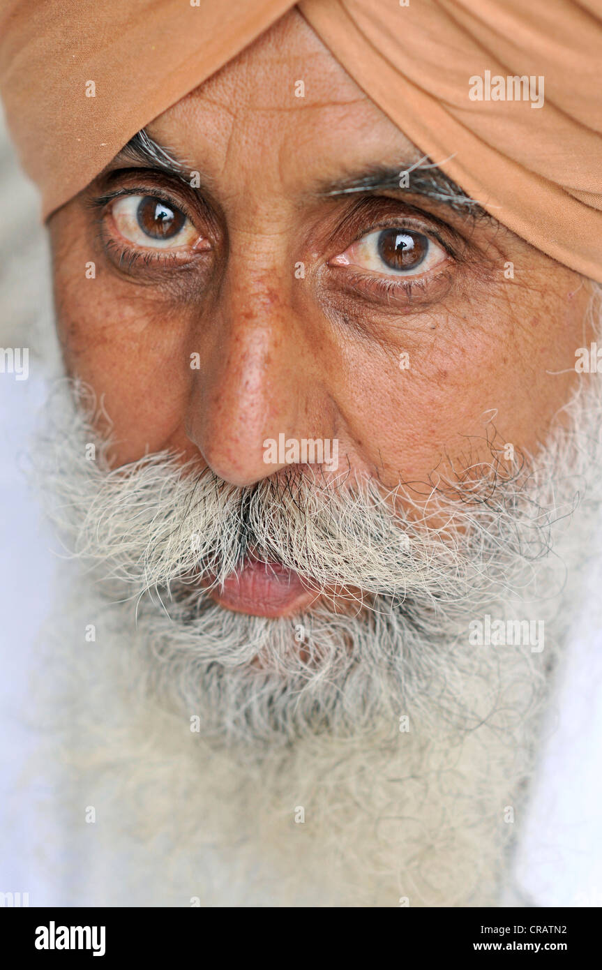 Sikh, portrait, Harmandir Sahib or Golden Temple, Amritsar, Punjab ...