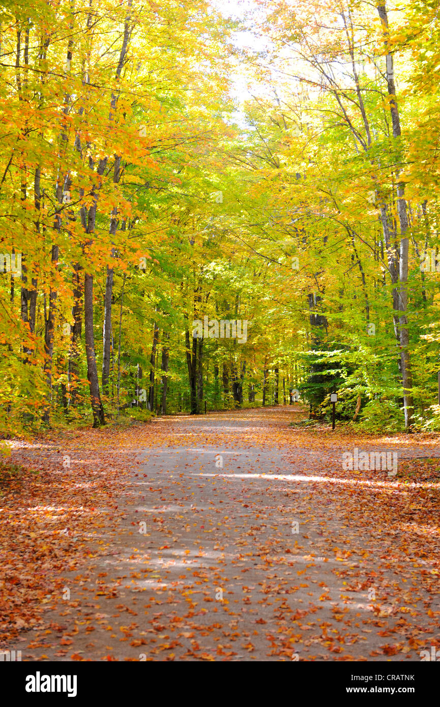 Fall color in Hiawatha National Forest at the Colwell Lake Campground ...