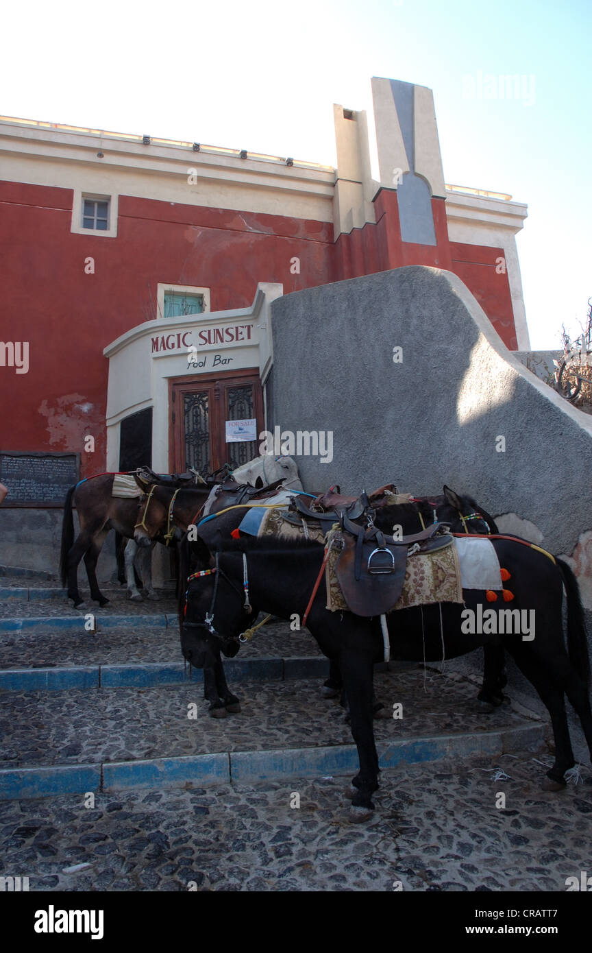Donkey stairs santorini sunset hi-res stock photography and images - Alamy