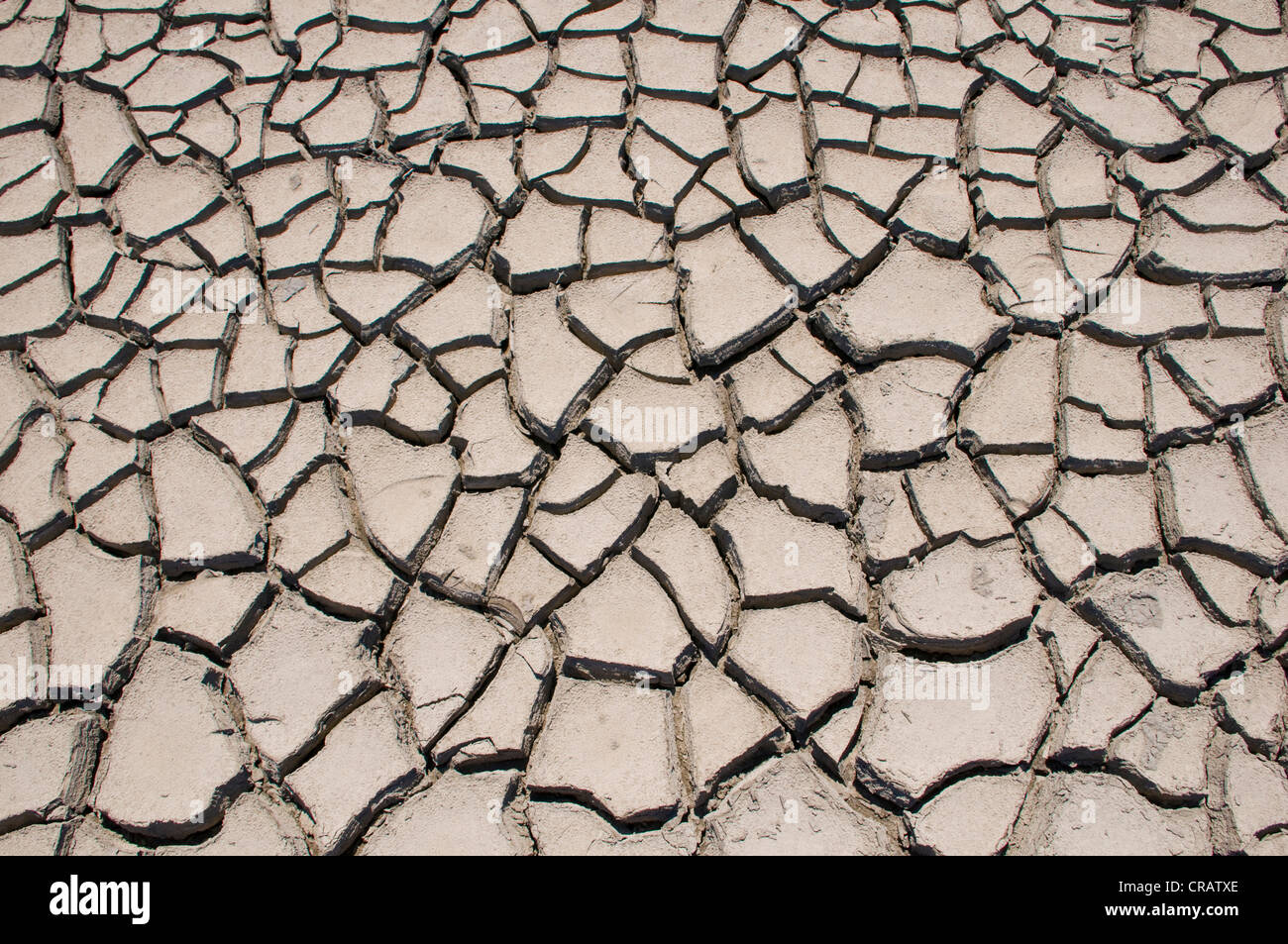 Cracked, dry soil, Azerbaijan, Middle East Stock Photo - Alamy