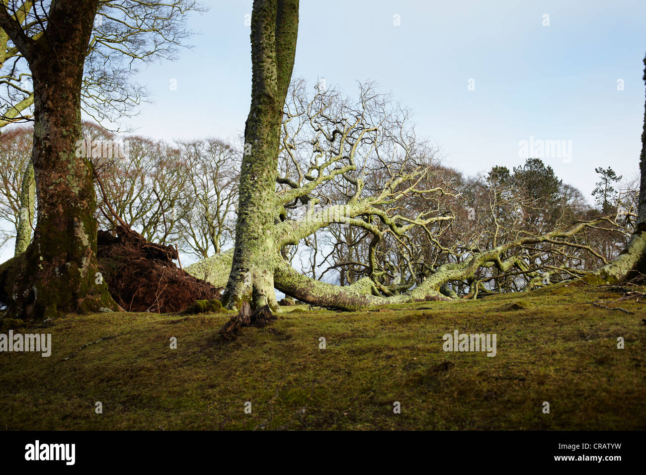 Ballimore estate hi-res stock photography and images - Alamy