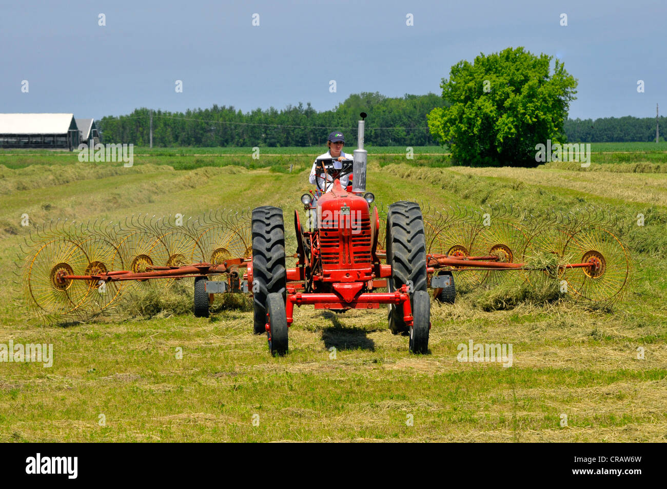 Animal occupation hi-res stock photography and images - Alamy