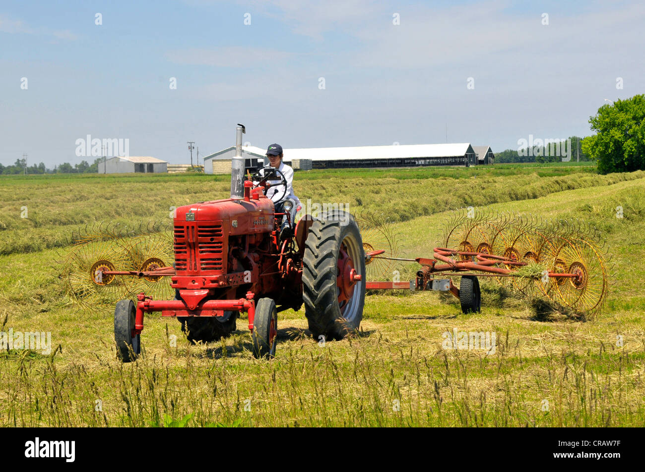 Raking hay hi-res stock photography and images - Alamy