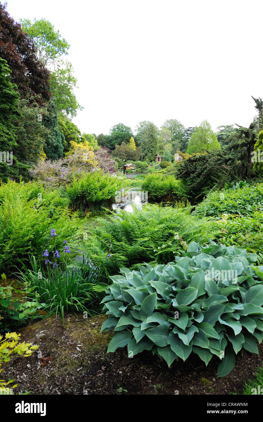 Informal Garden Plant High Resolution Stock Photography and Images - Alamy