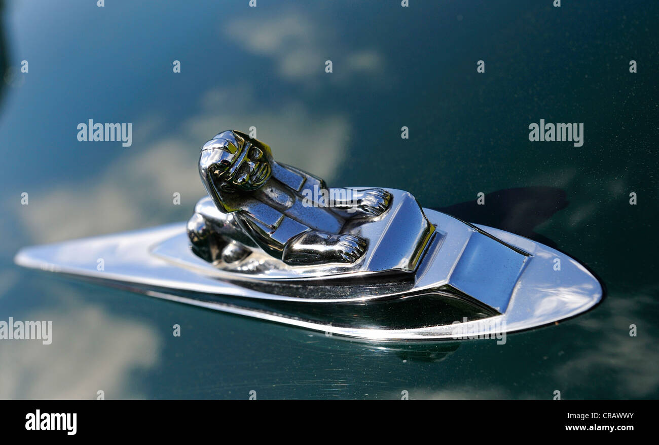 Stainless steel bonnet emblem or mascot of the Armstrong Siddeley ...