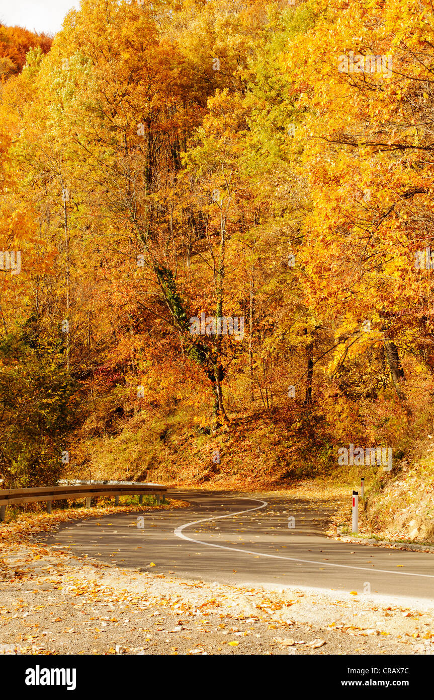 Nature beauty in autumn hi-res stock photography and images - Alamy
