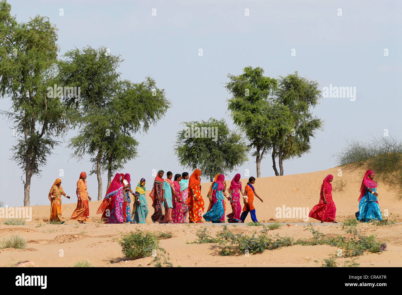 Ram devra pilgrims hi-res stock photography and images - Alamy