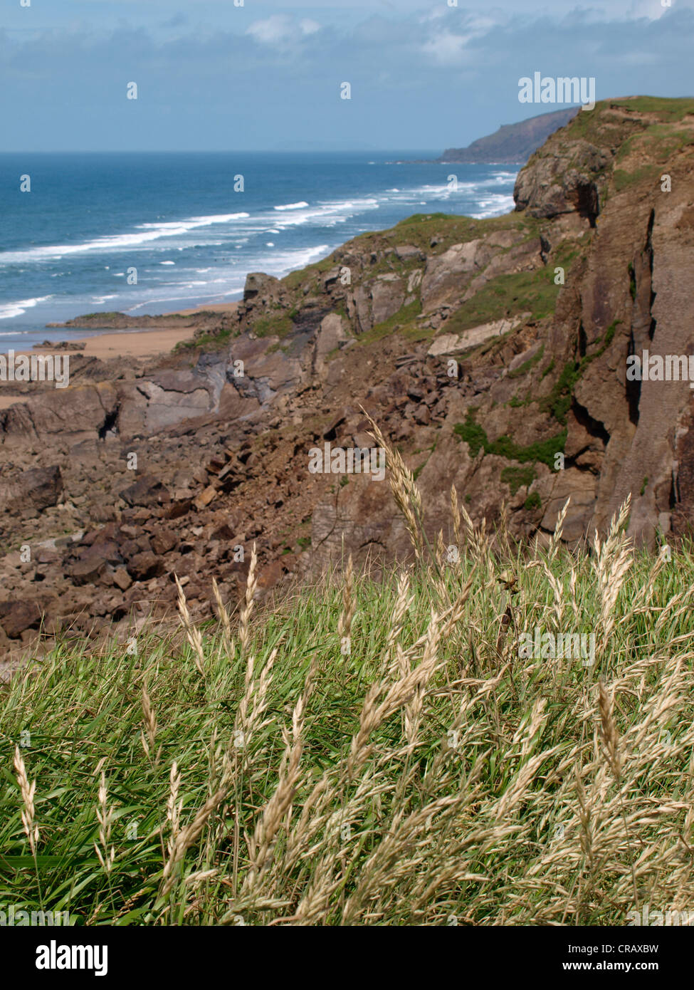 Grass on coastal cliffs hi-res stock photography and images - Alamy