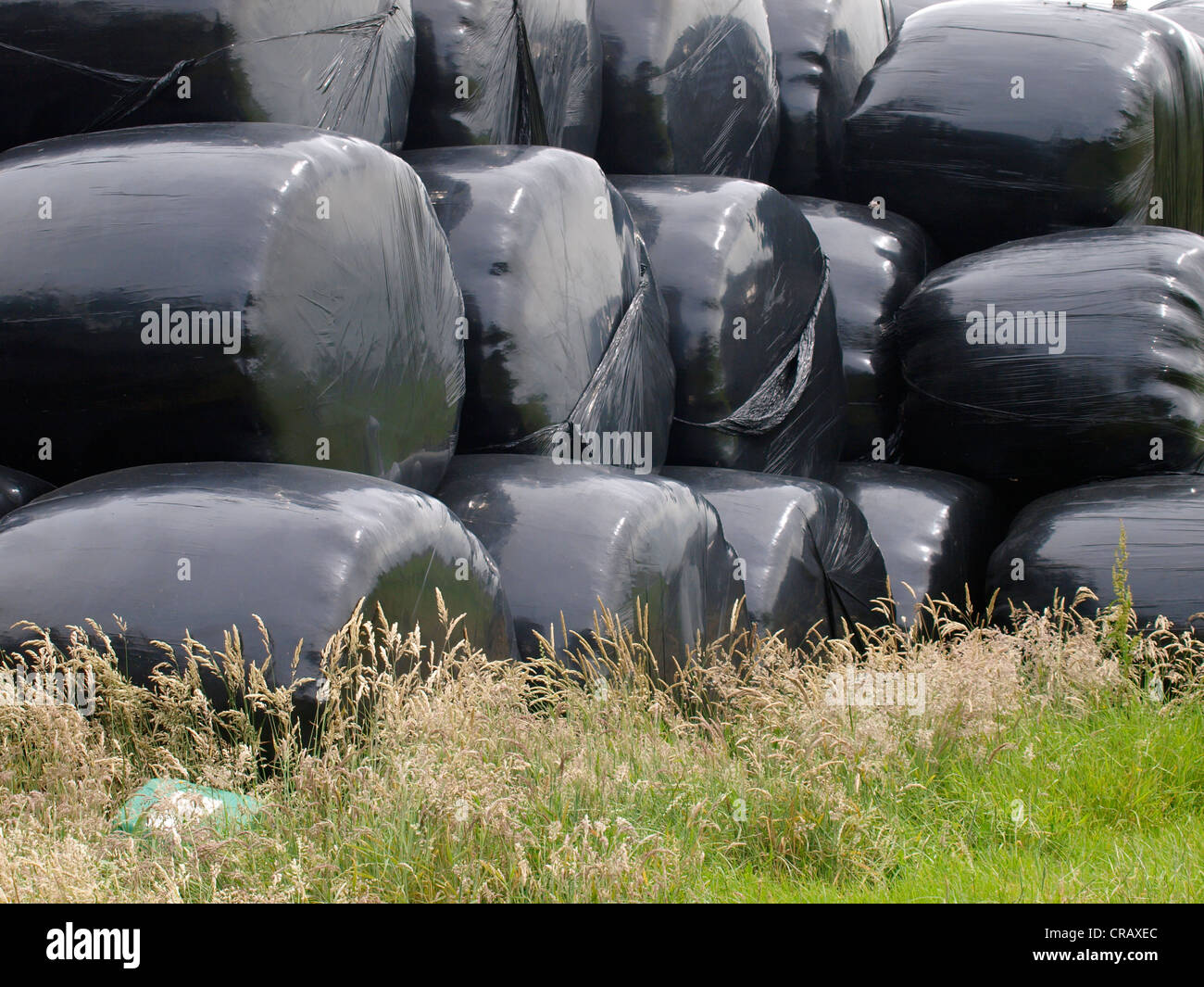 Silage clamp hi-res stock photography and images - Alamy