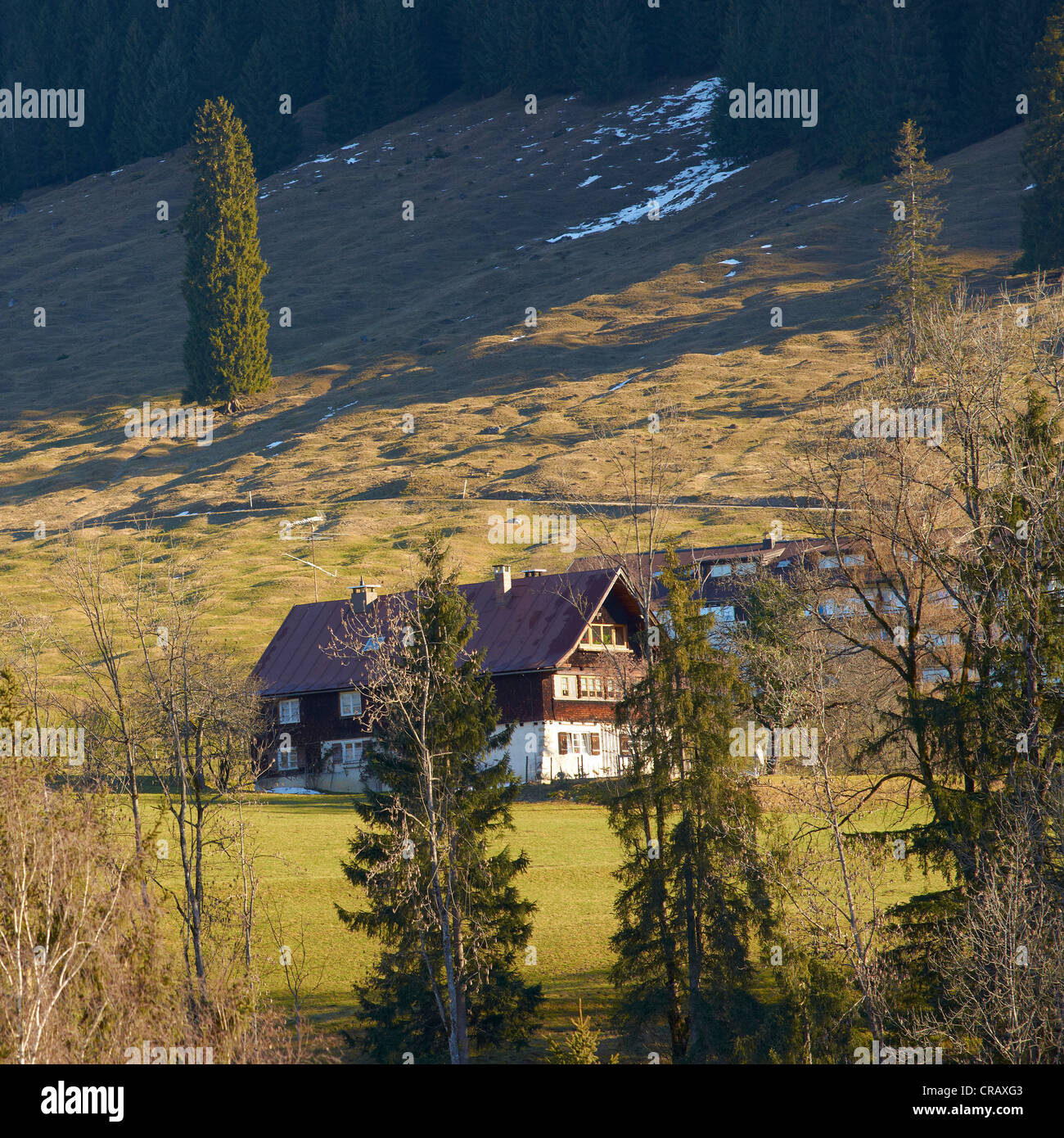 Farmhouse in the Allgau Alps Stock Photo - Alamy