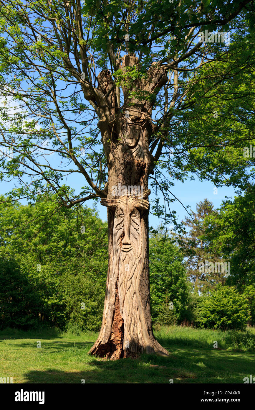 Tree Carving with Mythical Creatures Stock Photo - Alamy