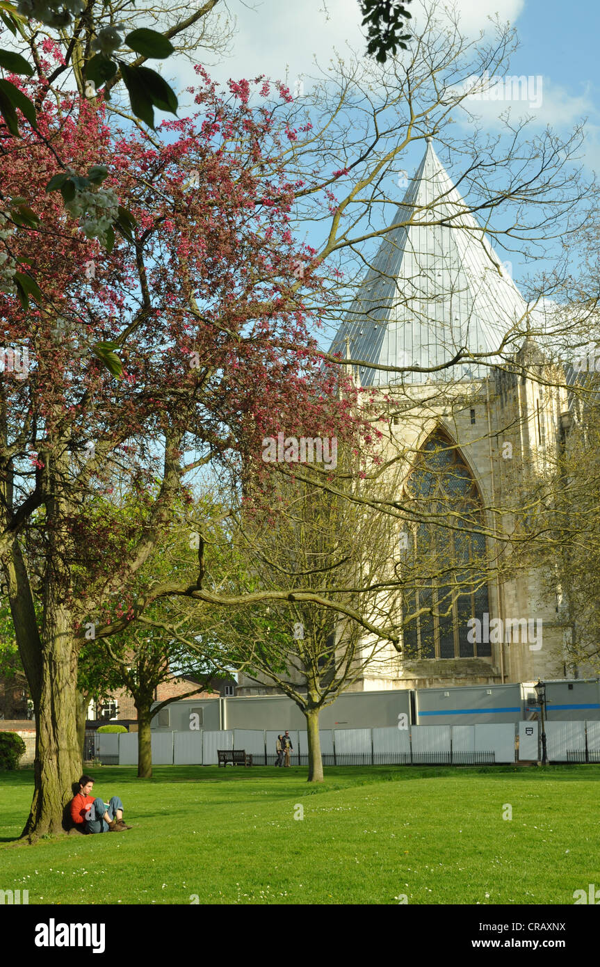 Dean's garden York minster green park picnic area Stock Photo - Alamy