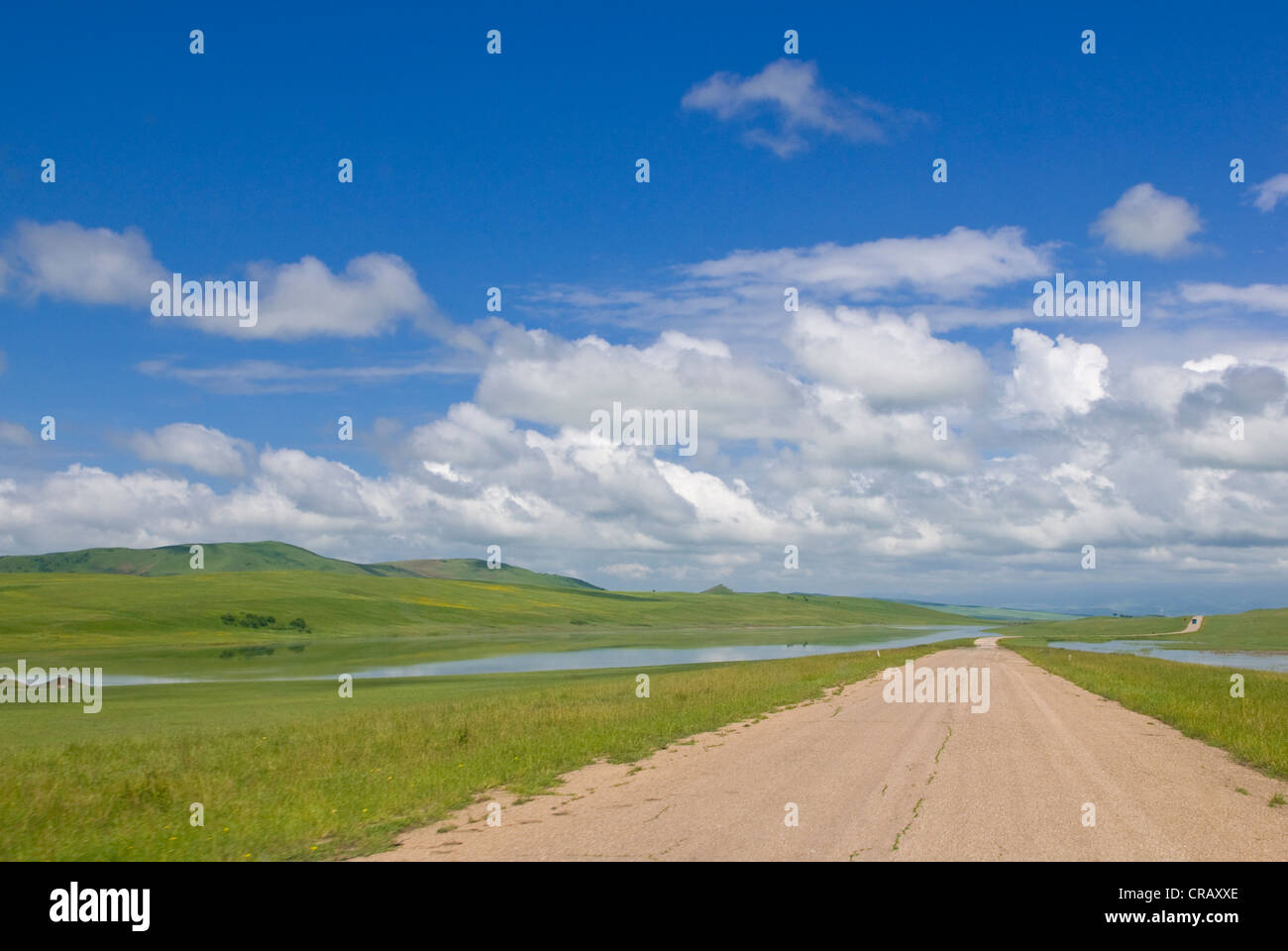 Middle east road hi-res stock photography and images - Alamy