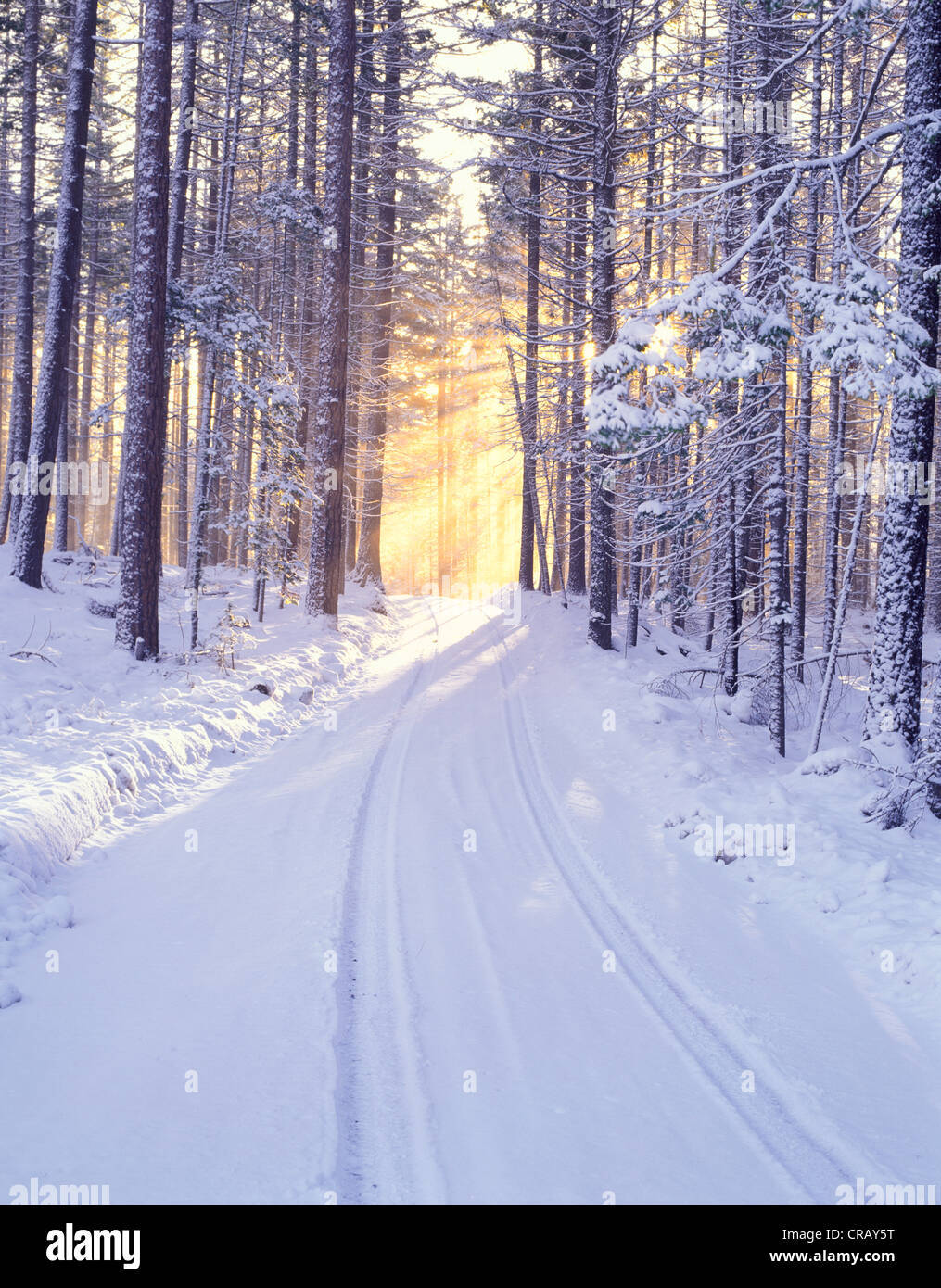 Deschutes National Forest Snow High Resolution Stock Photography and ...