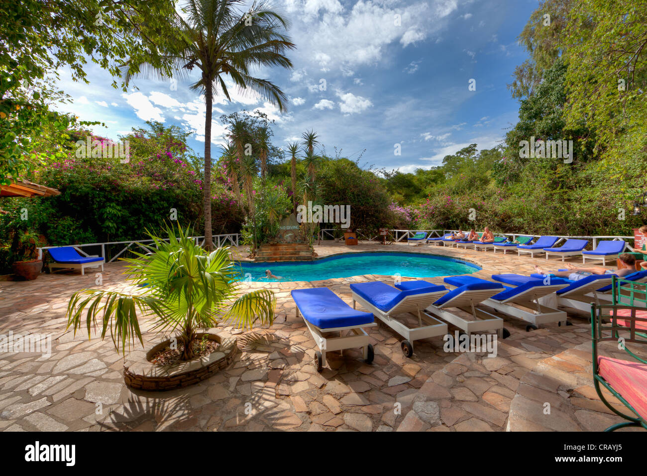 Safari camp, lodge, Mara Fig Tree Camp, Masai Mara National Reserve ...