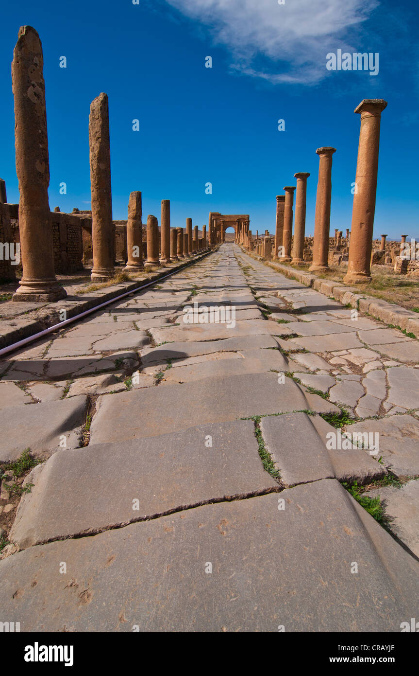 Roman ruins of Timgad, UNESCO World Heritage Site, Algeria, Africa ...
