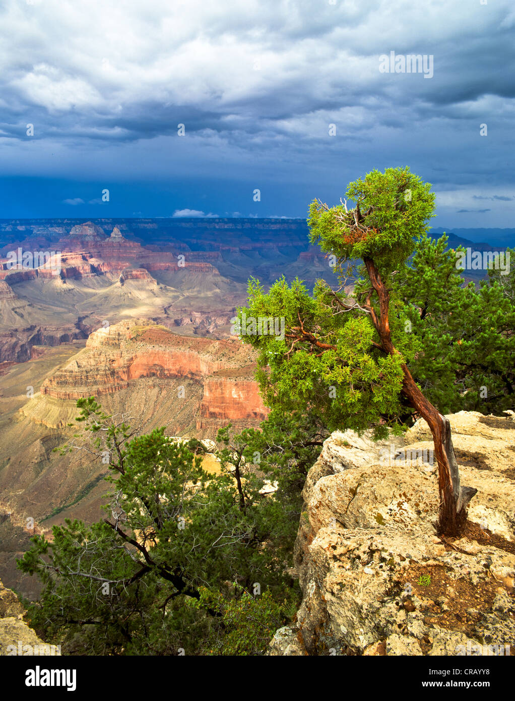 Lipan Point, Grand Canyon. AZ Stock Photo - Alamy