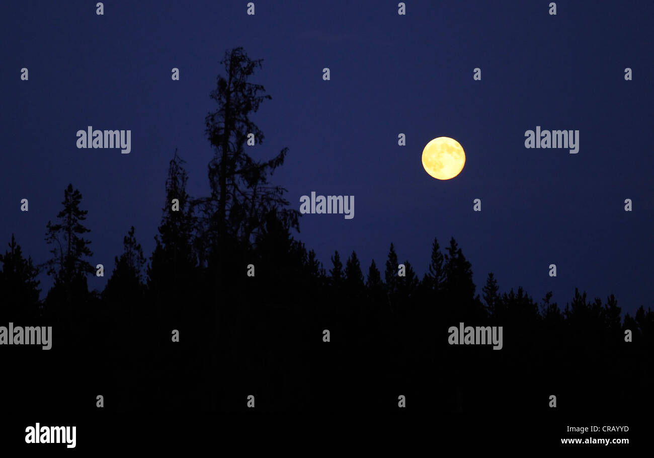 The moon rises in Yellowstone National Park near the Madison and ...