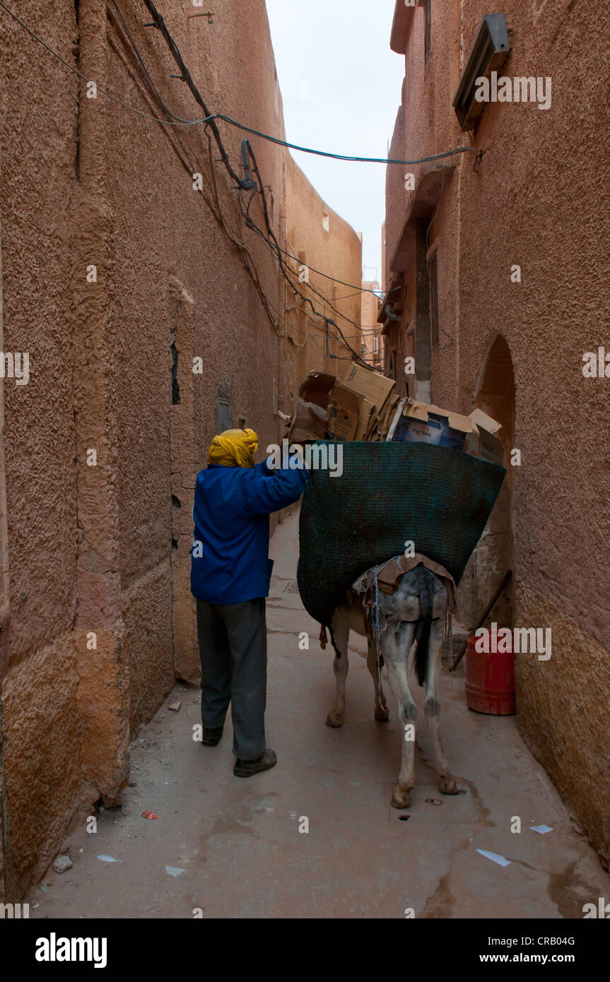 Man loading a pack donkey in the village of El Atteuf in the UNESCO ...
