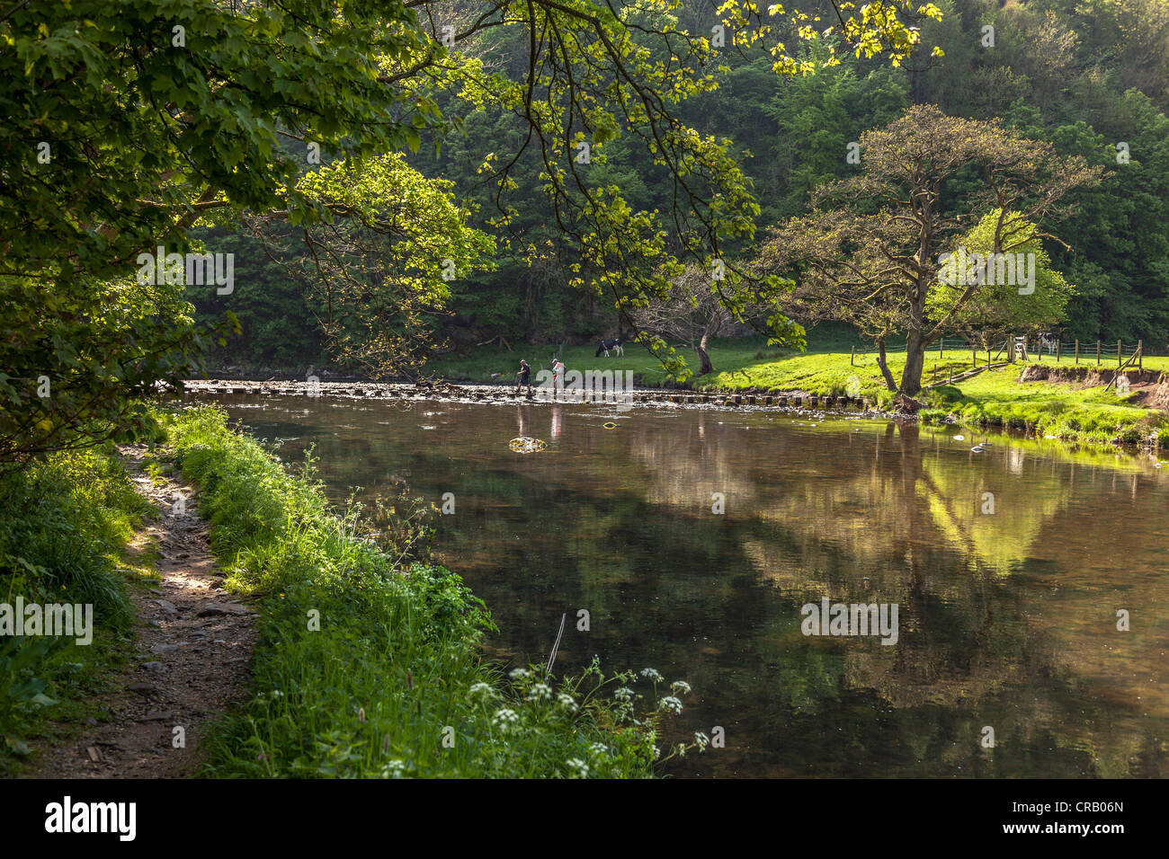 Forest of Bowland. River Hodder Whitewell Stock Photo - Alamy