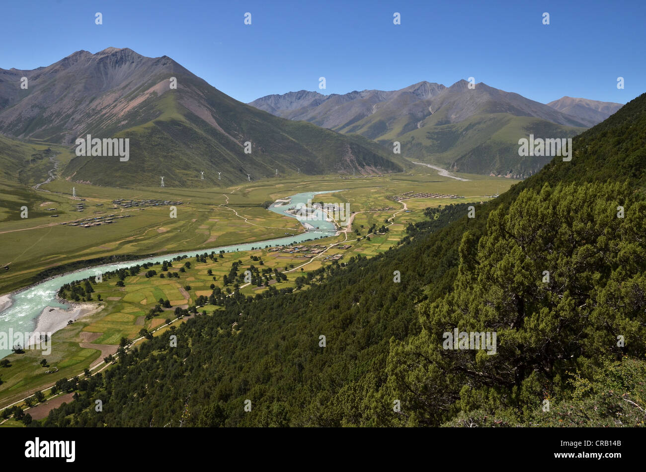 Reting river, Reting Tsangpo, with centuries-old juniper trees in the ...
