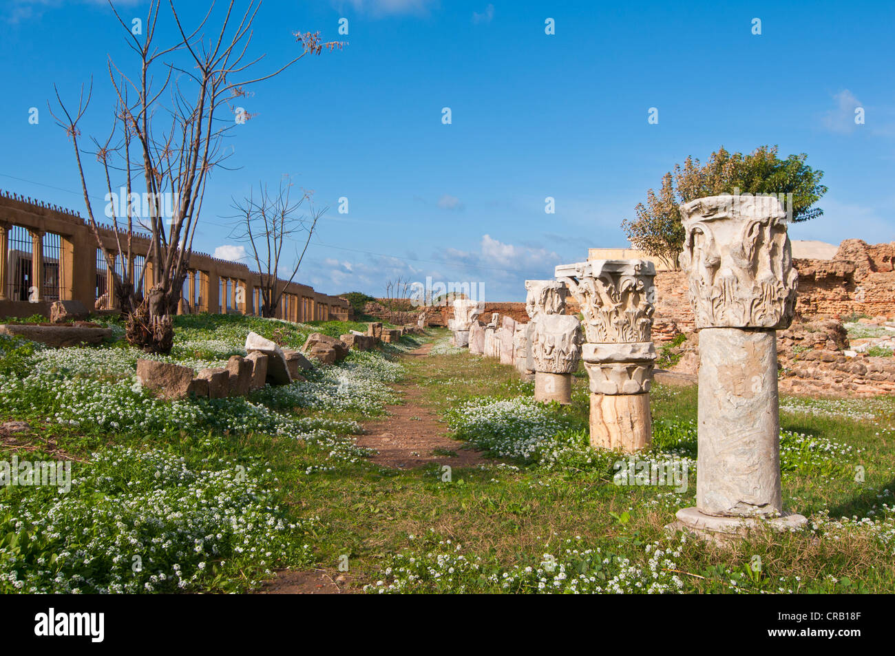 Ancient Roman bath in Cherchell, Algeria, Africa Stock Photo - Alamy