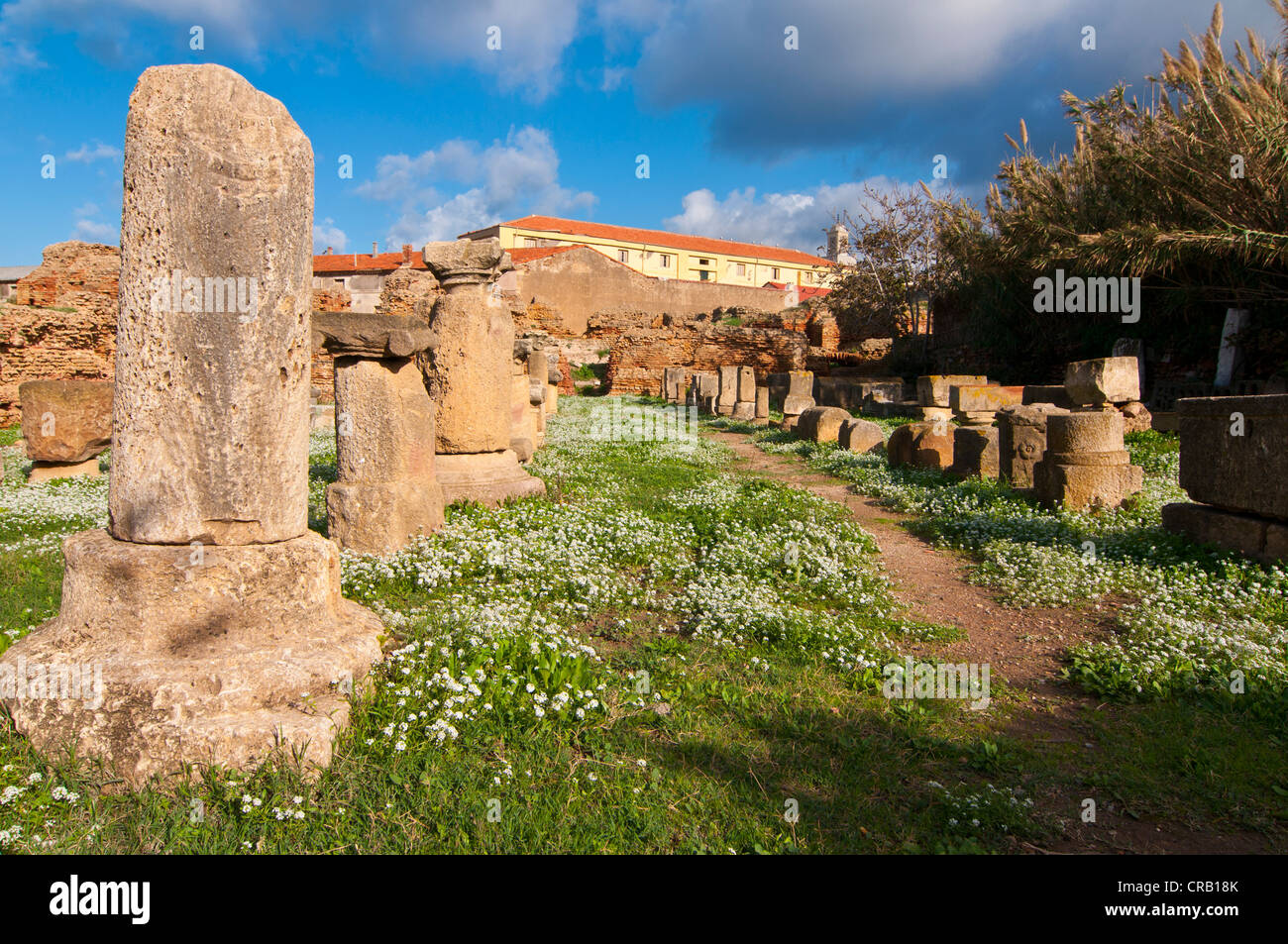 Ancient Roman bath in Cherchell, Algeria, Africa Stock Photo - Alamy