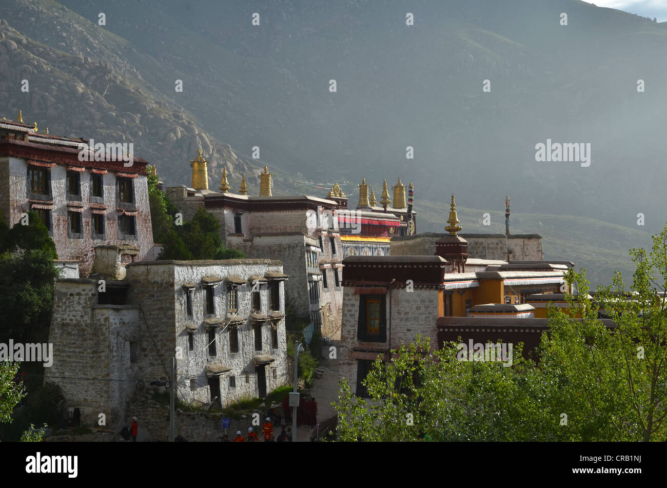 Tibetan Buddhism, Drepung Monastery, Lhasa, Tibet, China, Asia Stock ...
