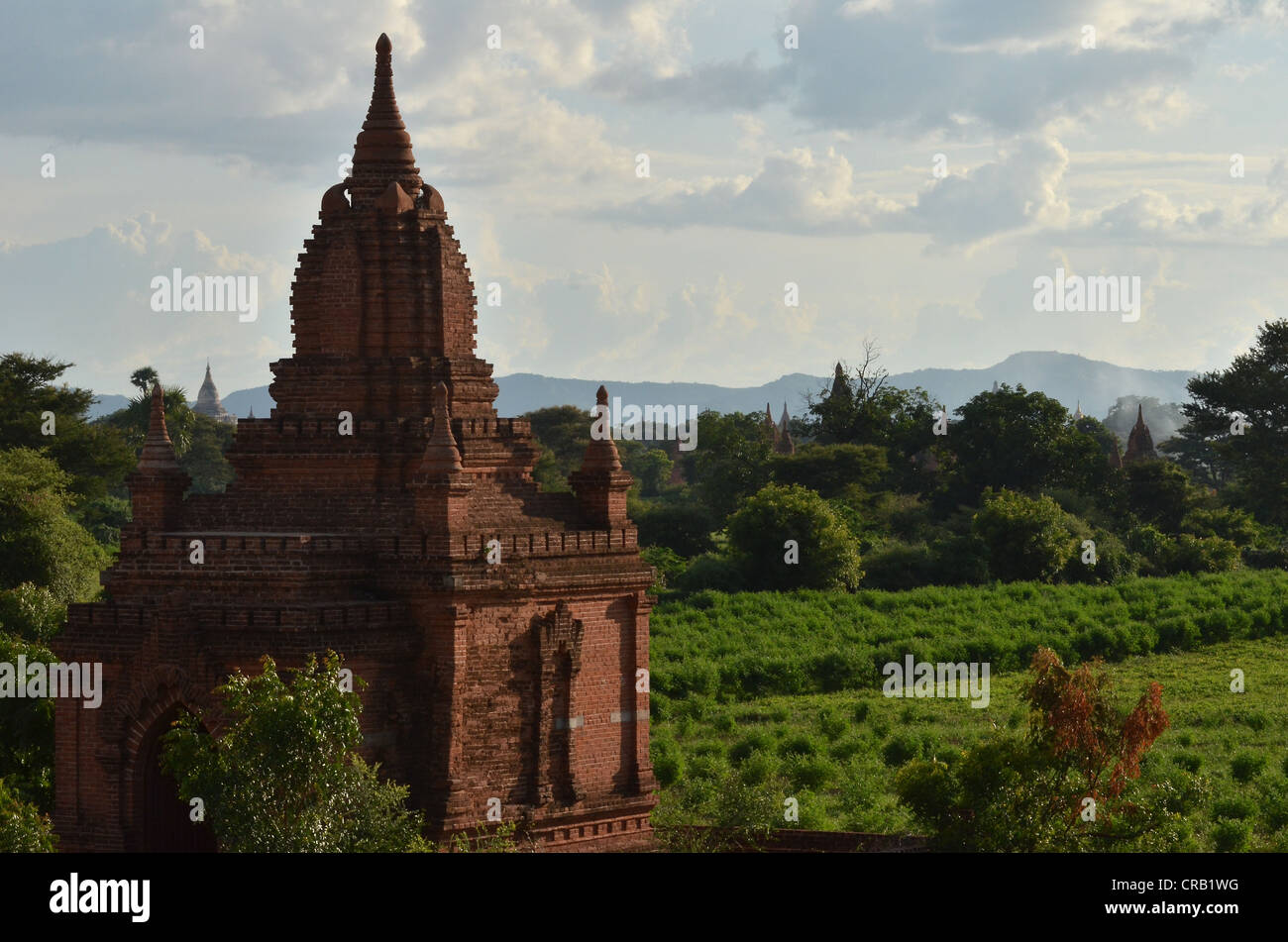 Pagoda field, Buddhist pagodas, Old Bagan, Pagan, Burma, Myanmar ...